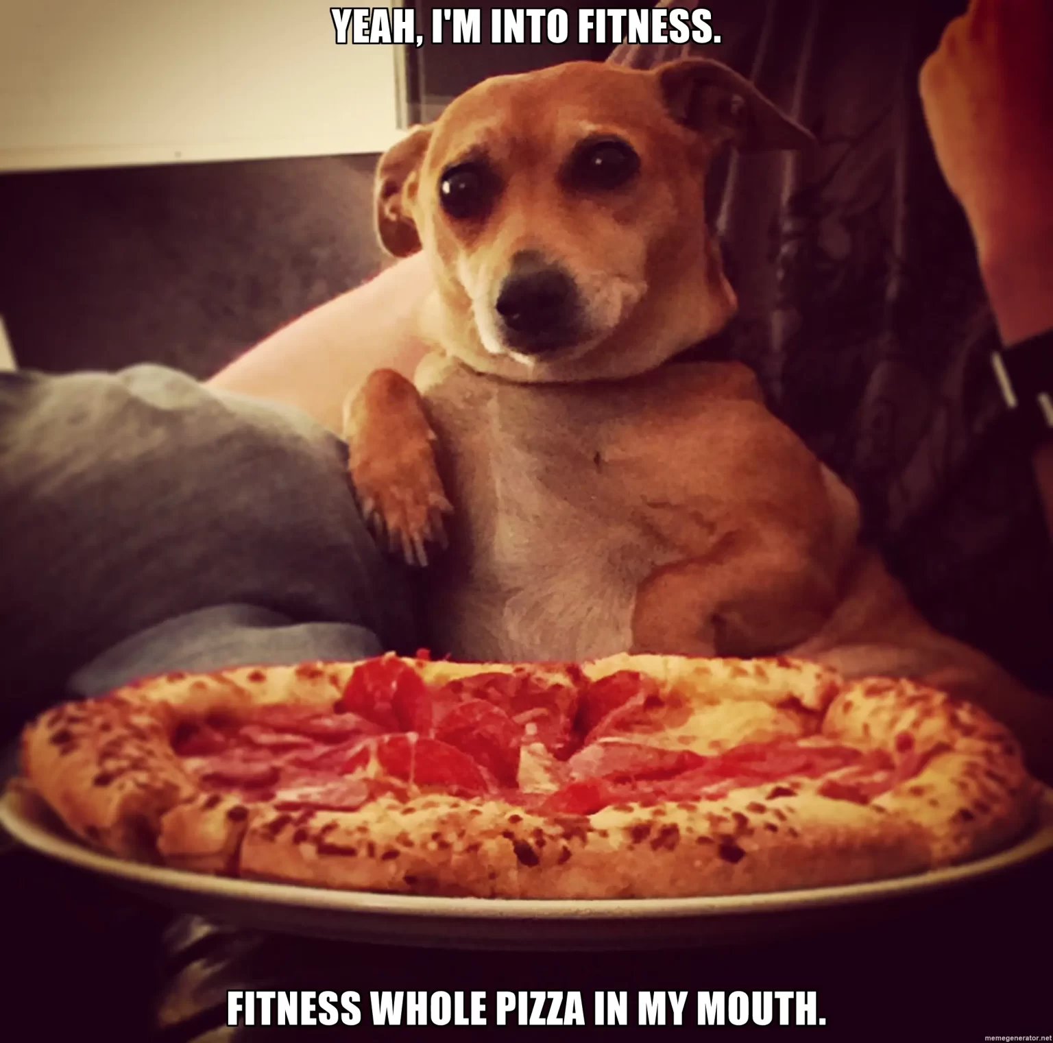 199+ Best Pizza Memes On The Internet: Free For You